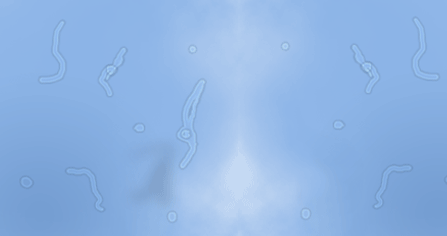 What are floaters and flashing lights?